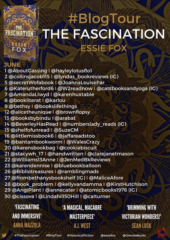 The Fascination by Essie Fox. – The Lotus Readers