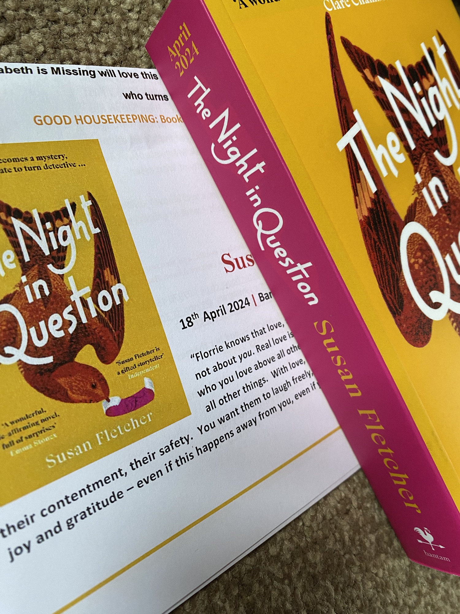 The Night in Question by Susan Fletcher – The Lotus Readers
