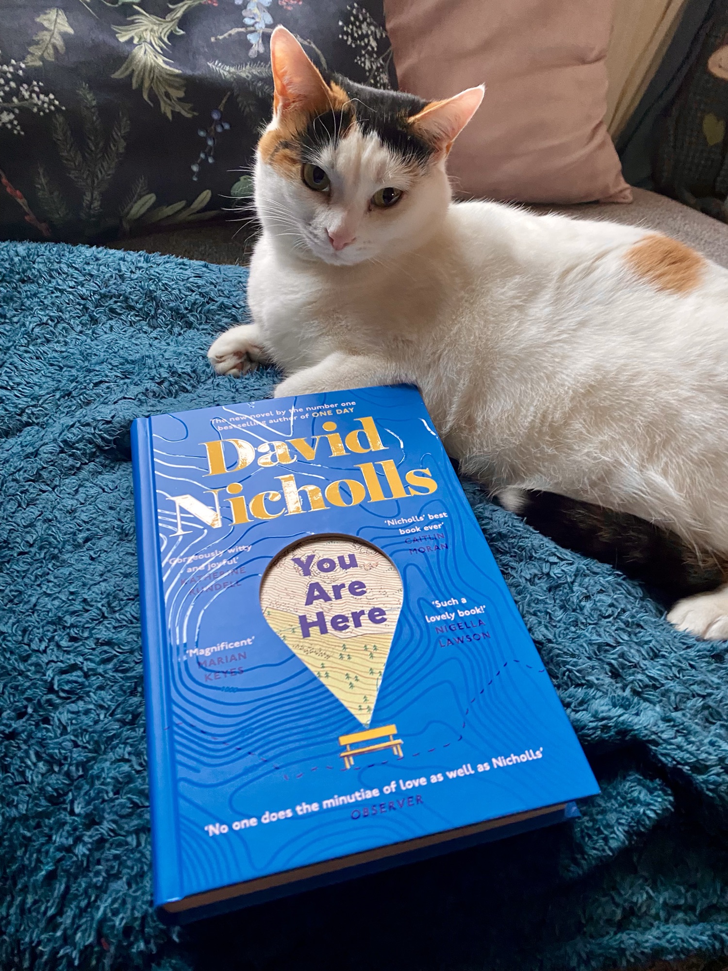 You Are Here by David Nicholls – The Lotus Readers