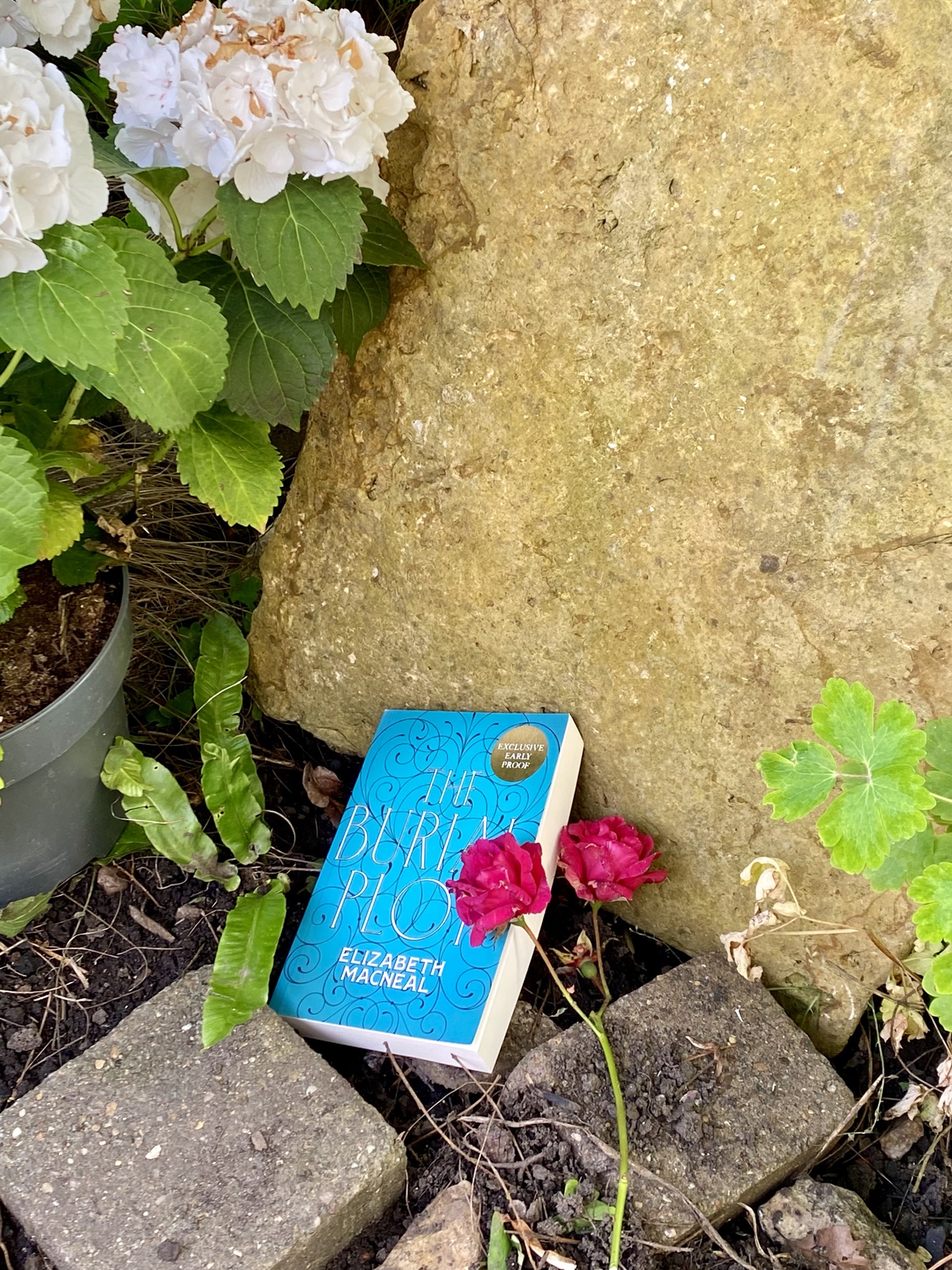 The Burial Plot by Elizabeth MacNeal – The Lotus Readers